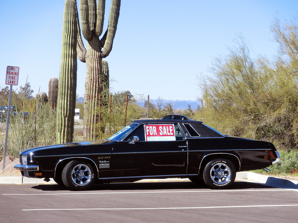 1973 Cutlass Supreme | GenHO